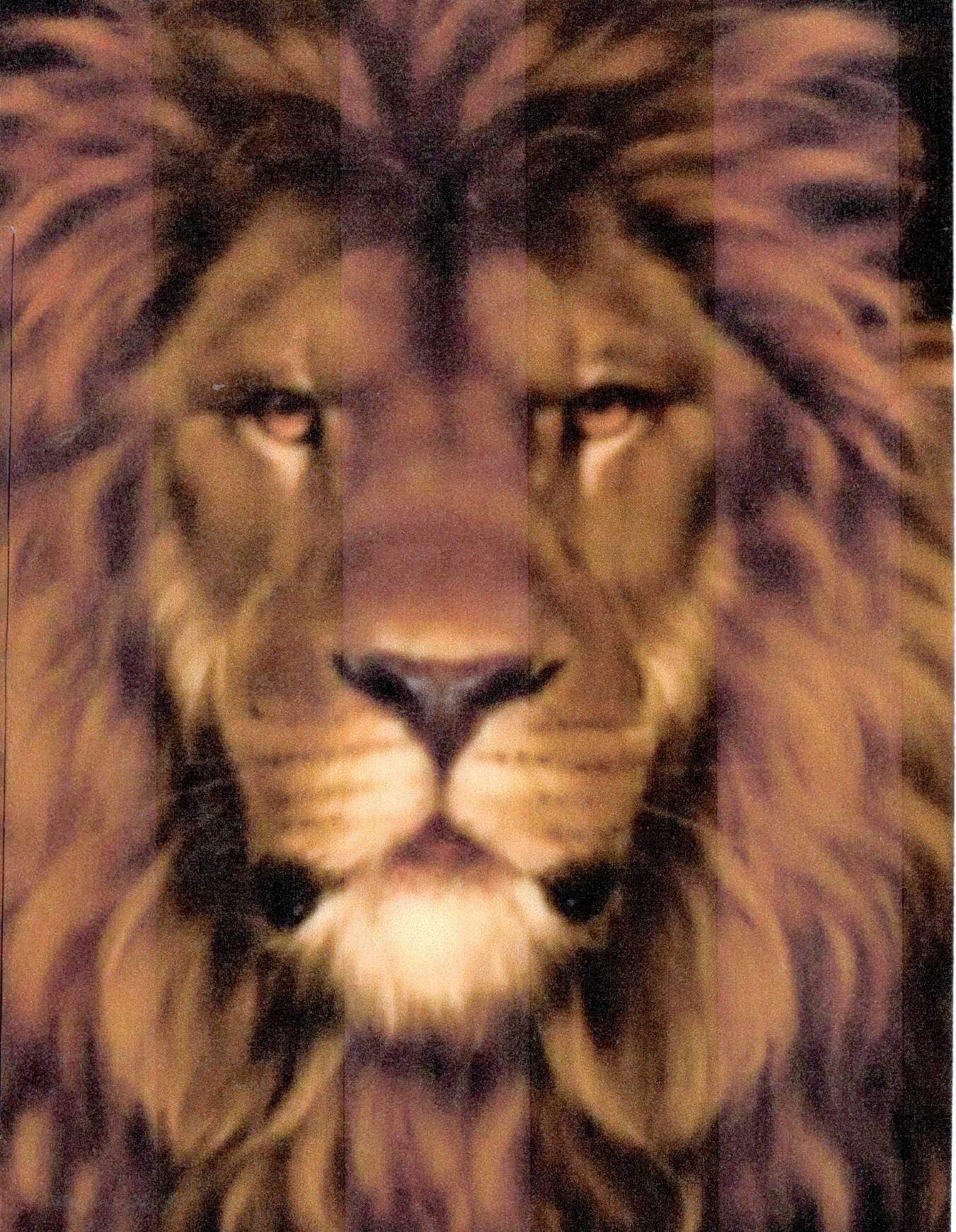 Warrimoo Ship’s Unique Achievement! – Puzzle Prime