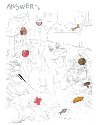 Hidden Objects Pets - Puzzle Prime